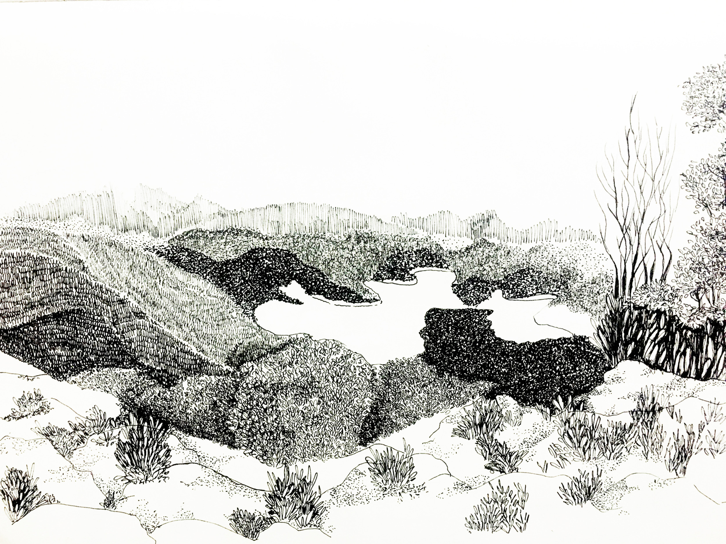 Ink on Paper | A Flower Child