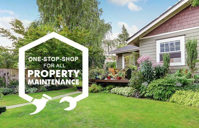 House Renovation | Bison Property Services | Auckland