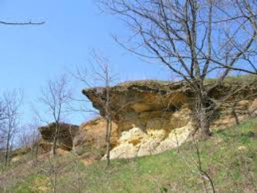 Magnolia Bluff County Park- Evansville