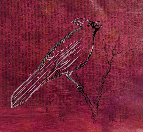 Female Cardinal | vivocontemporary
