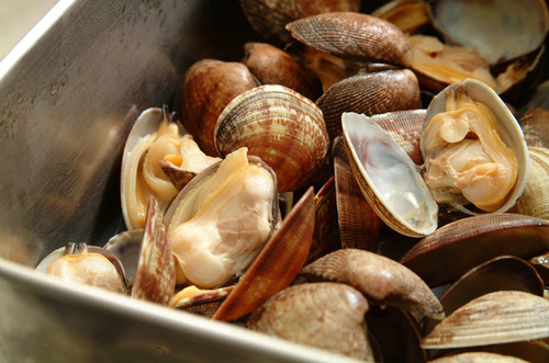 Palourde Clams | Chapman's Fish UK