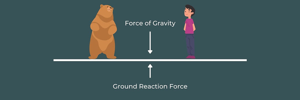 Ground Reaction Force Explained - from Portland Rolfer® Kat Kocurek