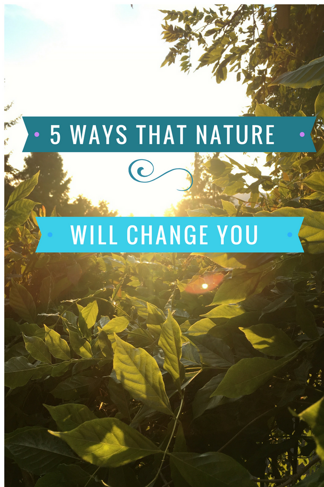 5 ways that nature will make you a better human