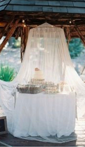 Cake Or Dessert Canopy 96"L x23"W | Event Rentals - Phoenix AZ