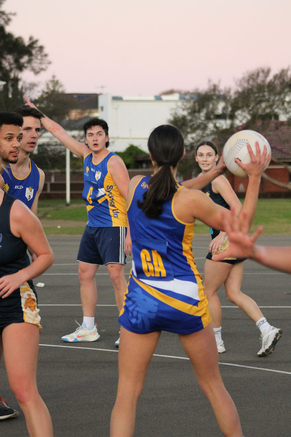 Club | Sydney Uni Netball Club