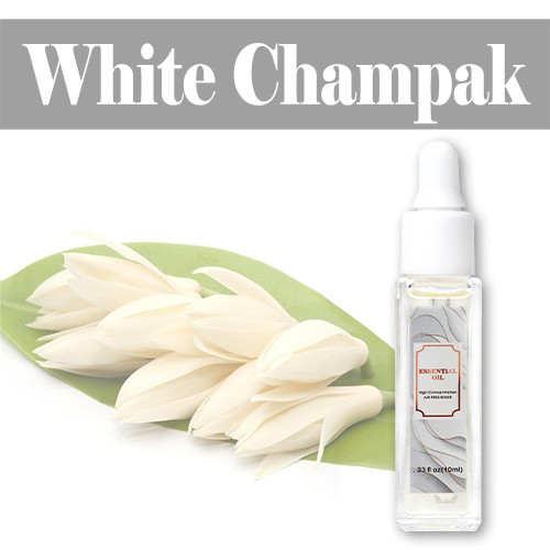 White Champak Home Fragrance Oil | Essential Oil ca