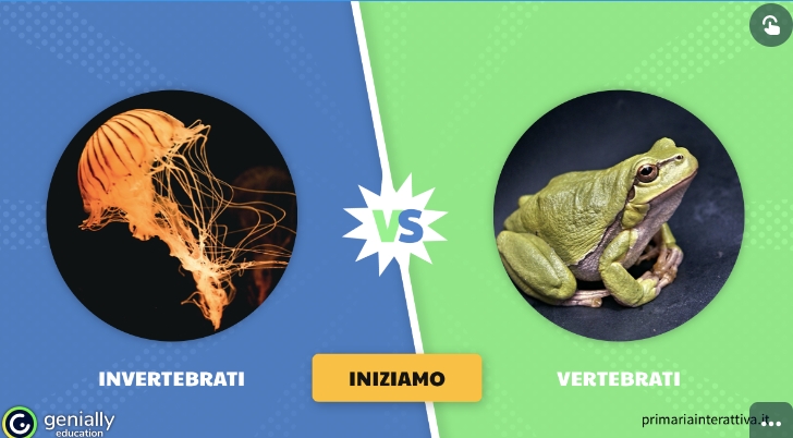 ESERCIZIO VERTEBRATI E INVERTEBRATI