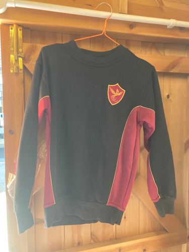 PE Jumper (new style) | Townley PTA