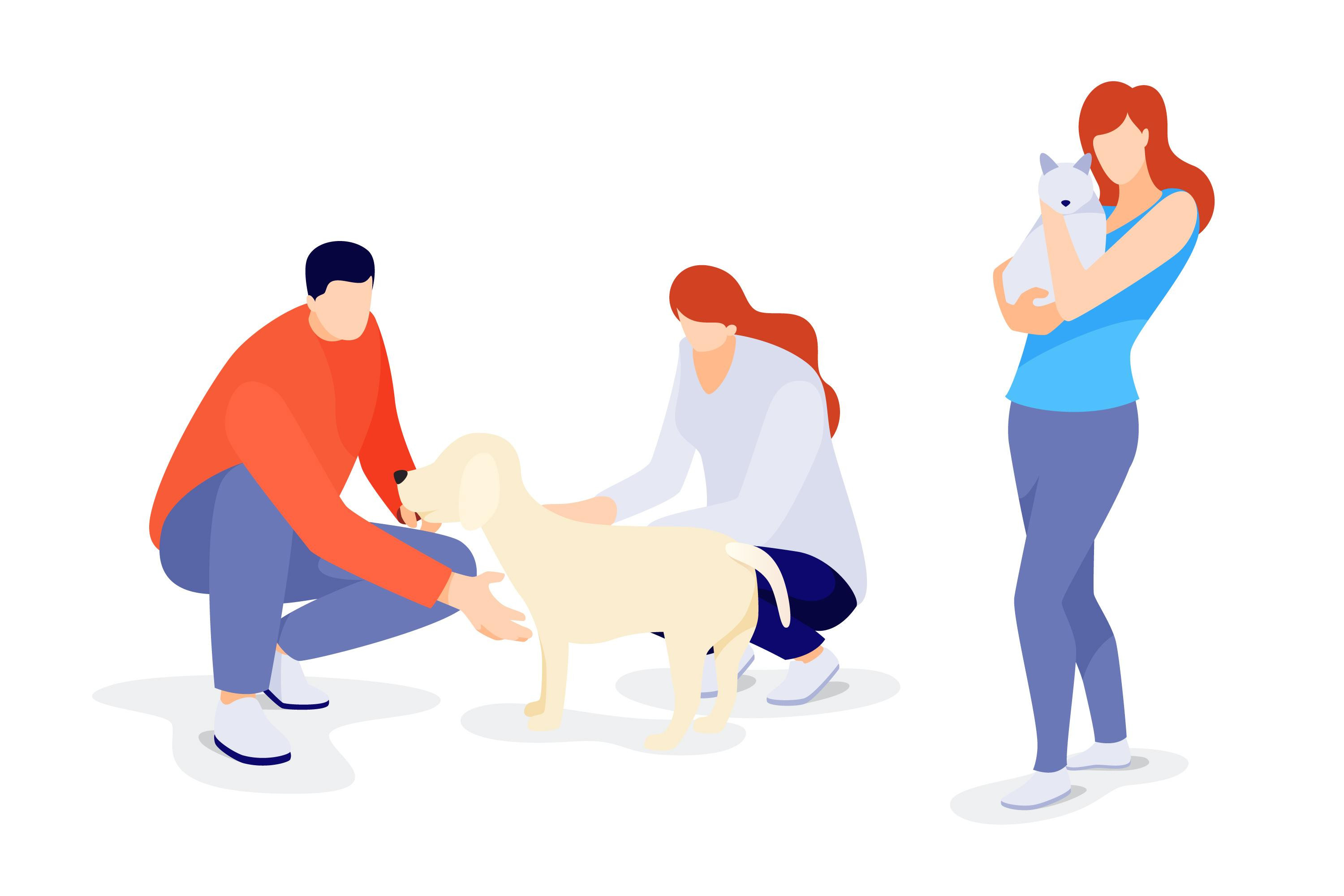 Karrierechancen in der Tierpflege