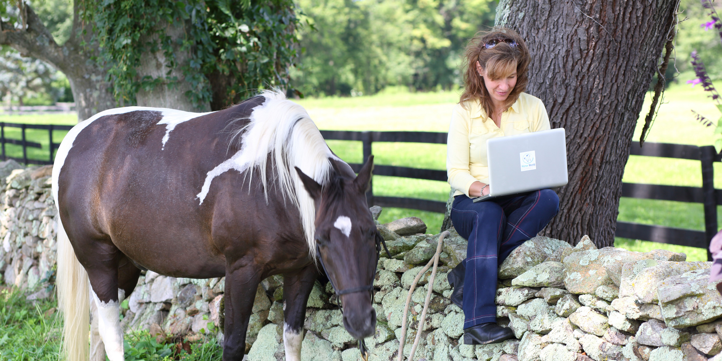 Equine Business | HorseWorldConnect