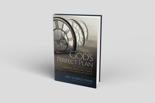 God's Perfect Plan | Ari Sorko-Ram | Tikkun Global