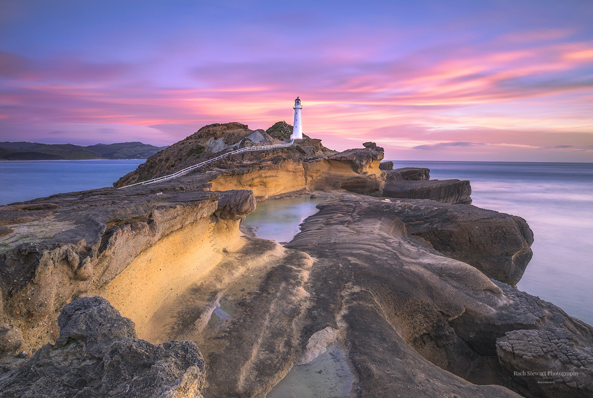 Wairarapa and Wellington | NZ Prints | Rach Stewart Photography