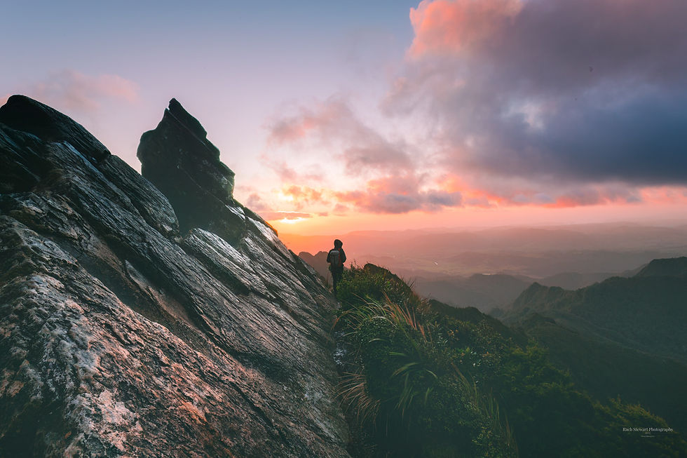 Photo Guide to the Pinnacles NZ Walk Coromandel Kauaeranga Trail