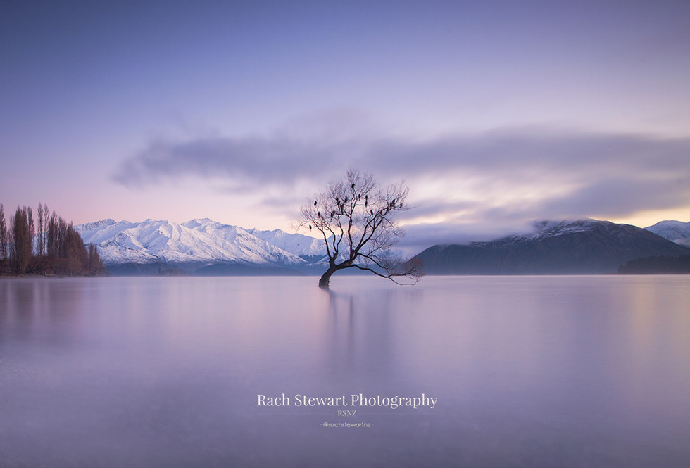 Wanaka Landscape Photography | New Zealand Prints | Rach Stewart