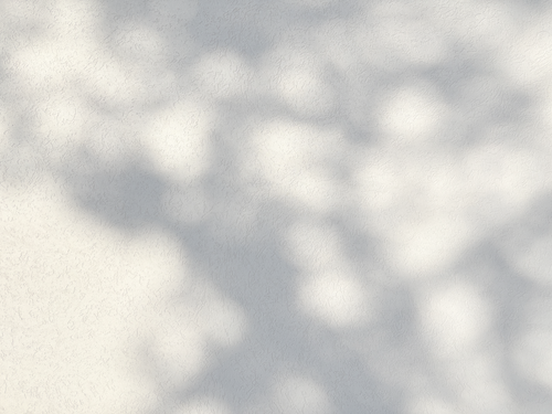 All Products | SCENERY