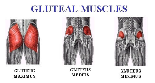BENEFITS OF STRONG GLUTES