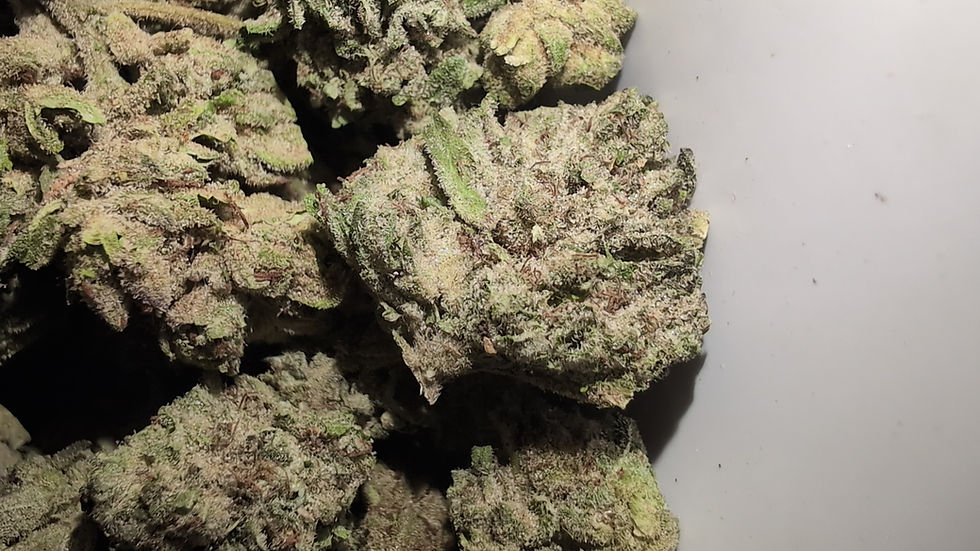 Hash Burger | Deep Woods Cannabis