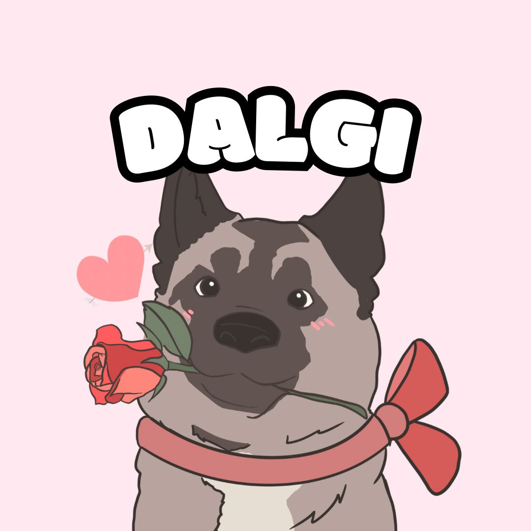 Tienda De Dalgi | Tienda para mascotas
