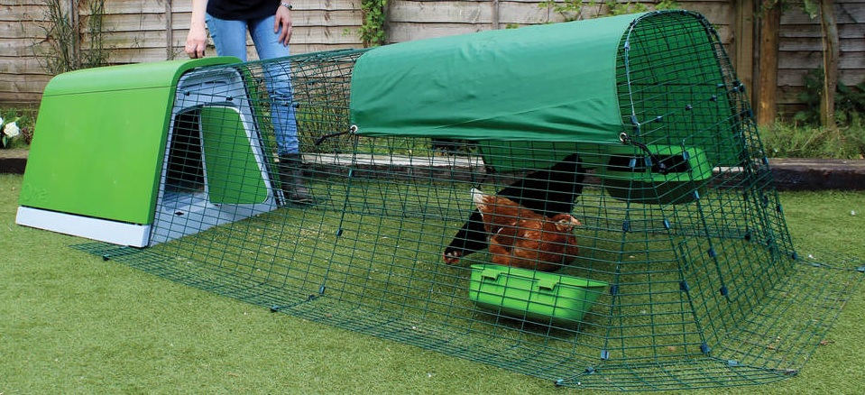 DUCKS & CHICKENS BOARDING | hillviewducks