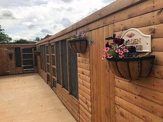 DUCKS & CHICKENS BOARDING | hillviewducks