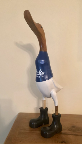 Everton Footballer Duck | hillviewducks
