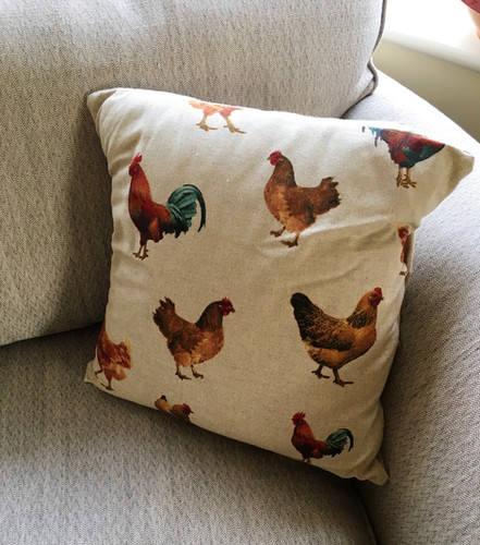 Chicken cushion | hillviewducks