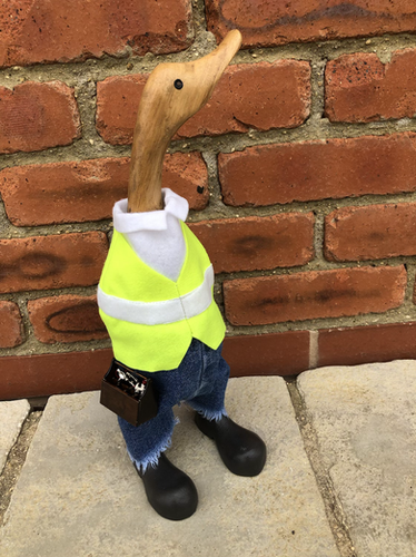 Builder Duck | hillviewducks