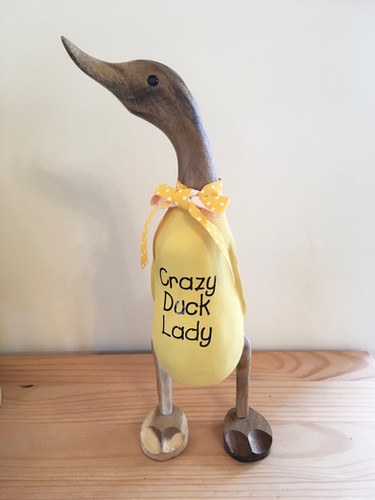 Crazy Duck Lady Duck | hillviewducks