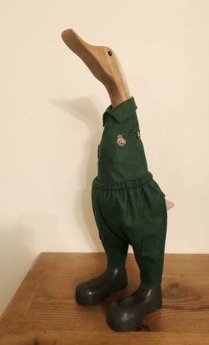 Paramedic Duck ‘Parame-duck!’ | hillviewducks