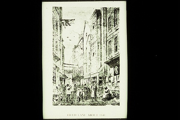 Roots & Heritage | field-lane