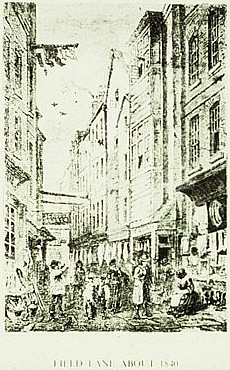 Roots & Heritage | field-lane