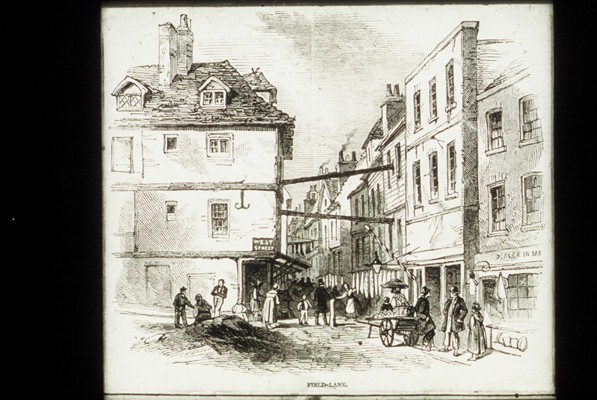 Roots & Heritage | field-lane