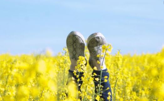 Concours photos! Thème : "c'est le printemps"