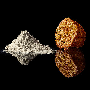 White Chlorella Ingredients | Aliga Microalgae | Hjørring