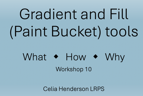 GUIDE: 10/16 Gradient & Fill What Why How Photoshop Celia | Camversation