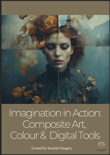 GUIDE: Imagination in Action From Sandra Dann | Camversation