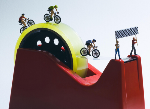 Little People (Macro) Photography - David Gilliver | Camversation