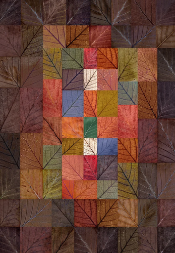 Abstracts-Tony North | Camversation