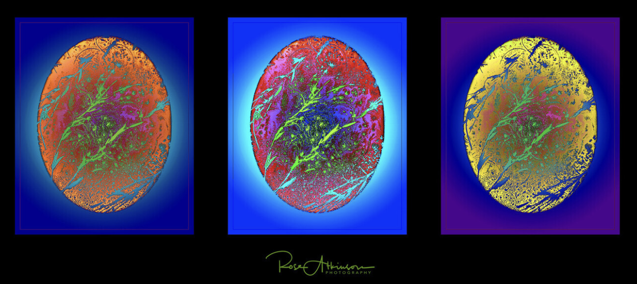 Creative Expressionism with Rose Atkinson | Camversation