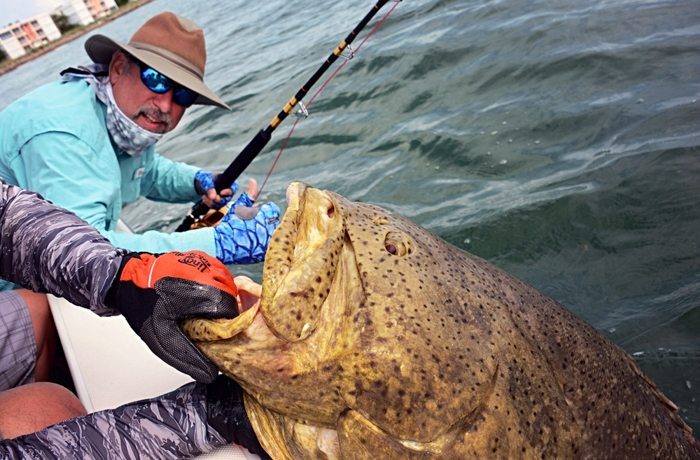 Go Goliath on the Florida Gulf Coast