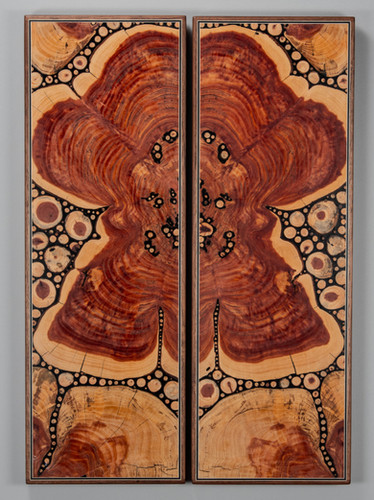 Variations in Cedar 116 | Cambrian Company