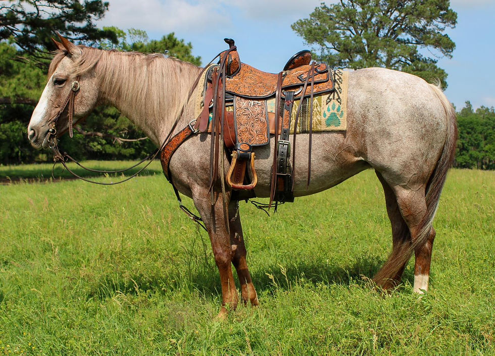 Products | TR Livestock