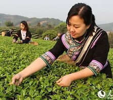 Fresh Roasted Coffee | Morghan Rake Coffee Roasters | Effort