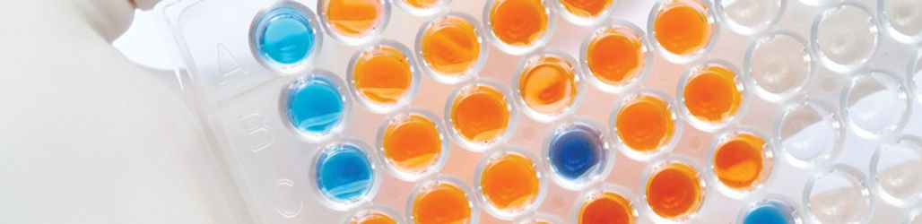 Biotinylated Service Case Studies | Bon Opus Biosciences