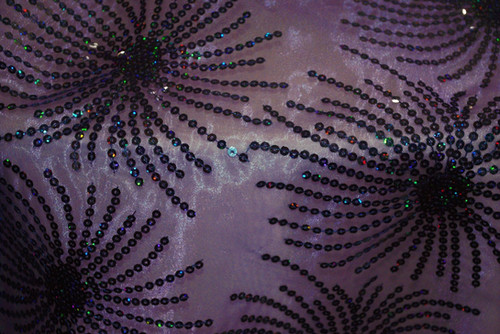 Blueberry Firework Overlay | Special Occasions