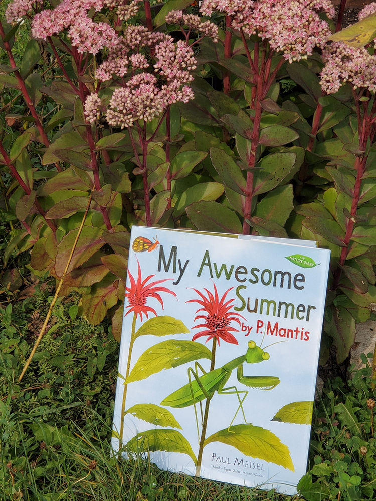My Awesome Summer -- Perfect Picture Book Friday