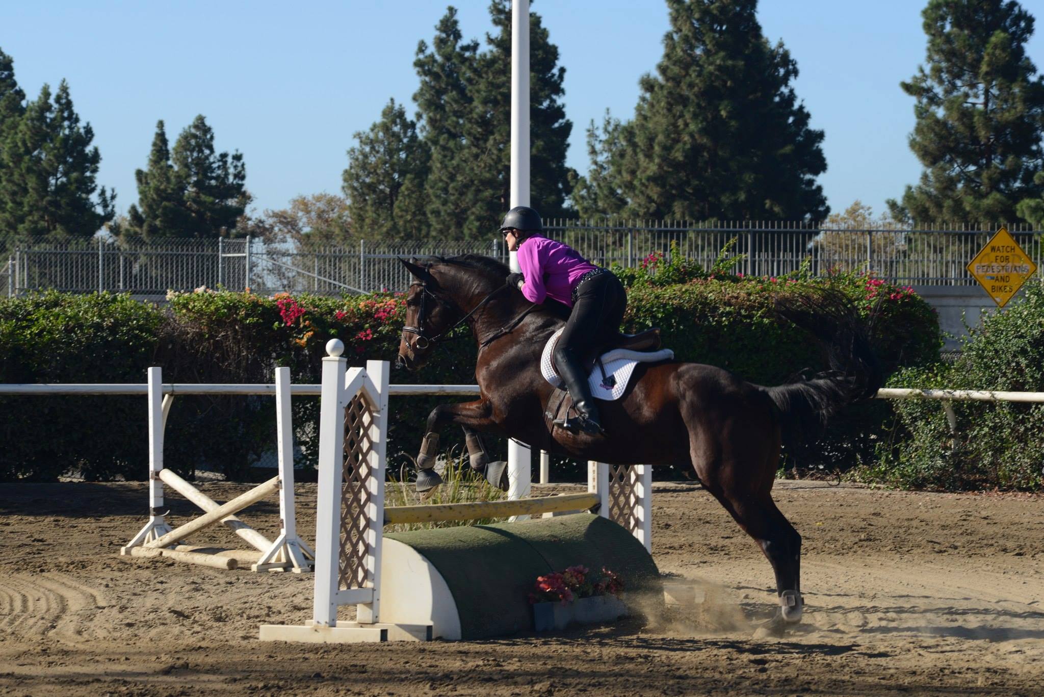 First Field Farm | Full Service Training | Cerritos, CA