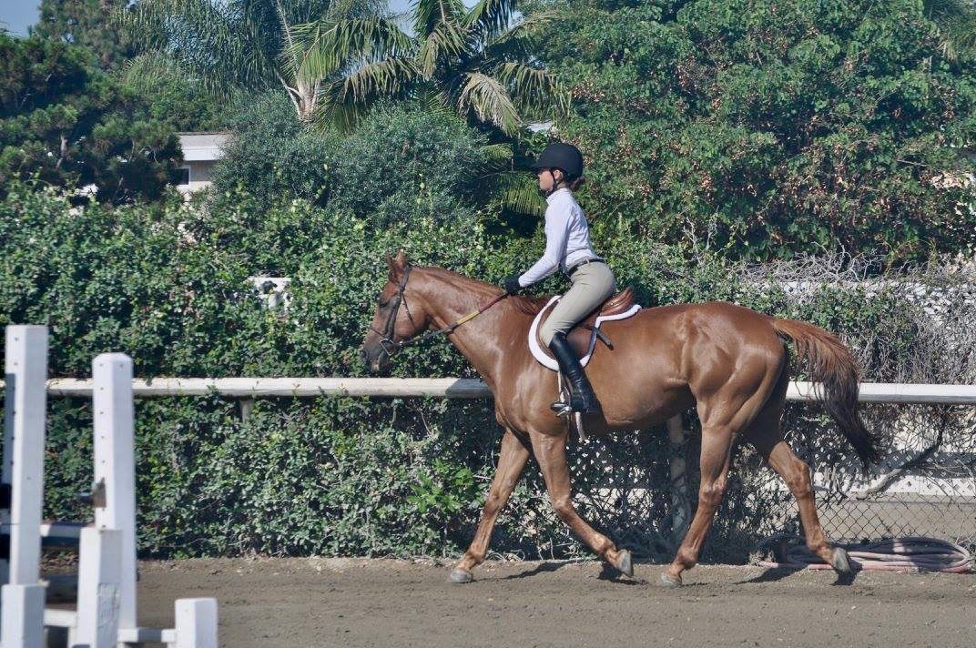 First Field Farm | Full Service Training | Cerritos, CA