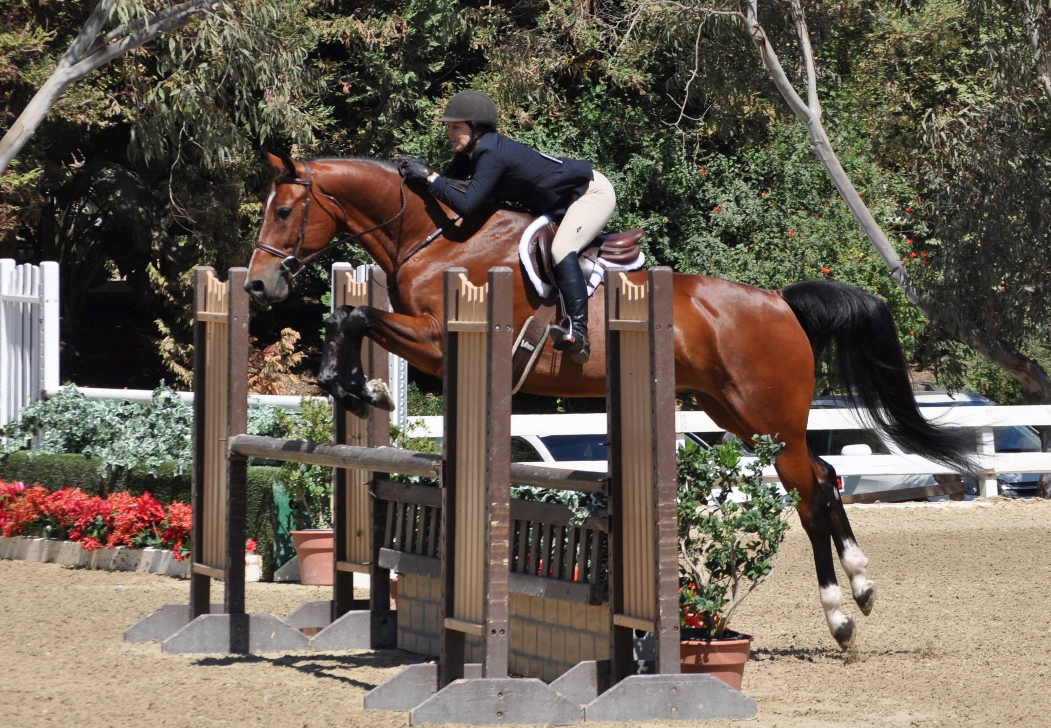 First Field Farm | Full Service Training | Cerritos, CA