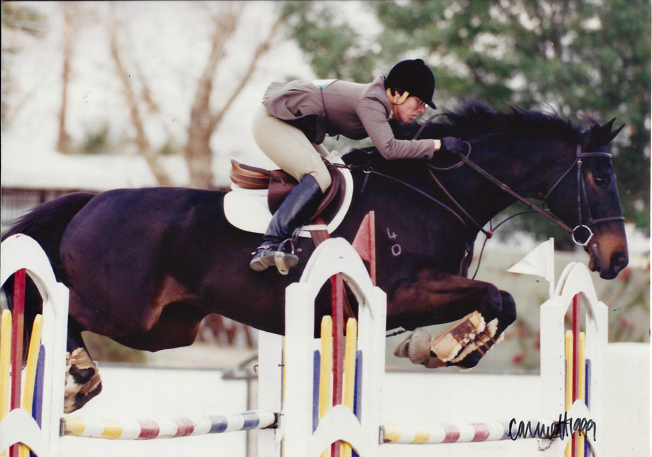 Horse Shows | firstfieldfarm
